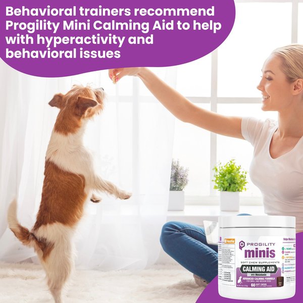 Nootie Progility Minis Calming Aid with Melatonin Soft Chew Supplement