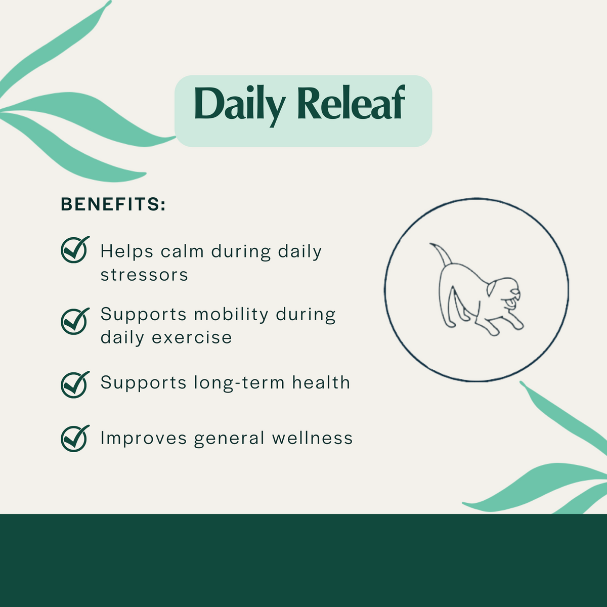 Pet Releaf Daily Releaf 100mg Hemp Oil for Small Dogs and Cats