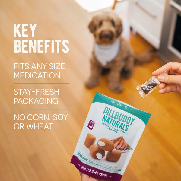 Complete Natural Nutrition Pill Buddy Naturals Peanut Butter & Apple S