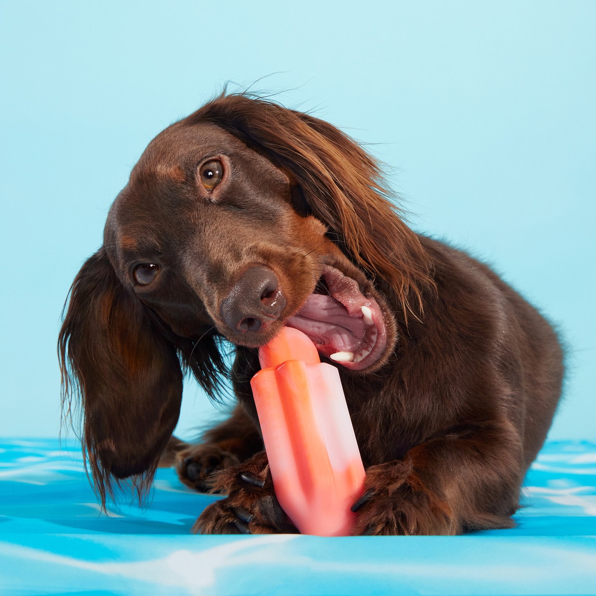 BARK Cherry Blasto Pop Dog Chew Toy