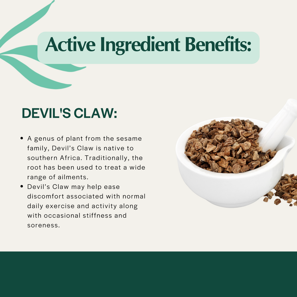 Pet Releaf Hip & Joint Releaf 300mg Hemp Oil for Dogs & Cats