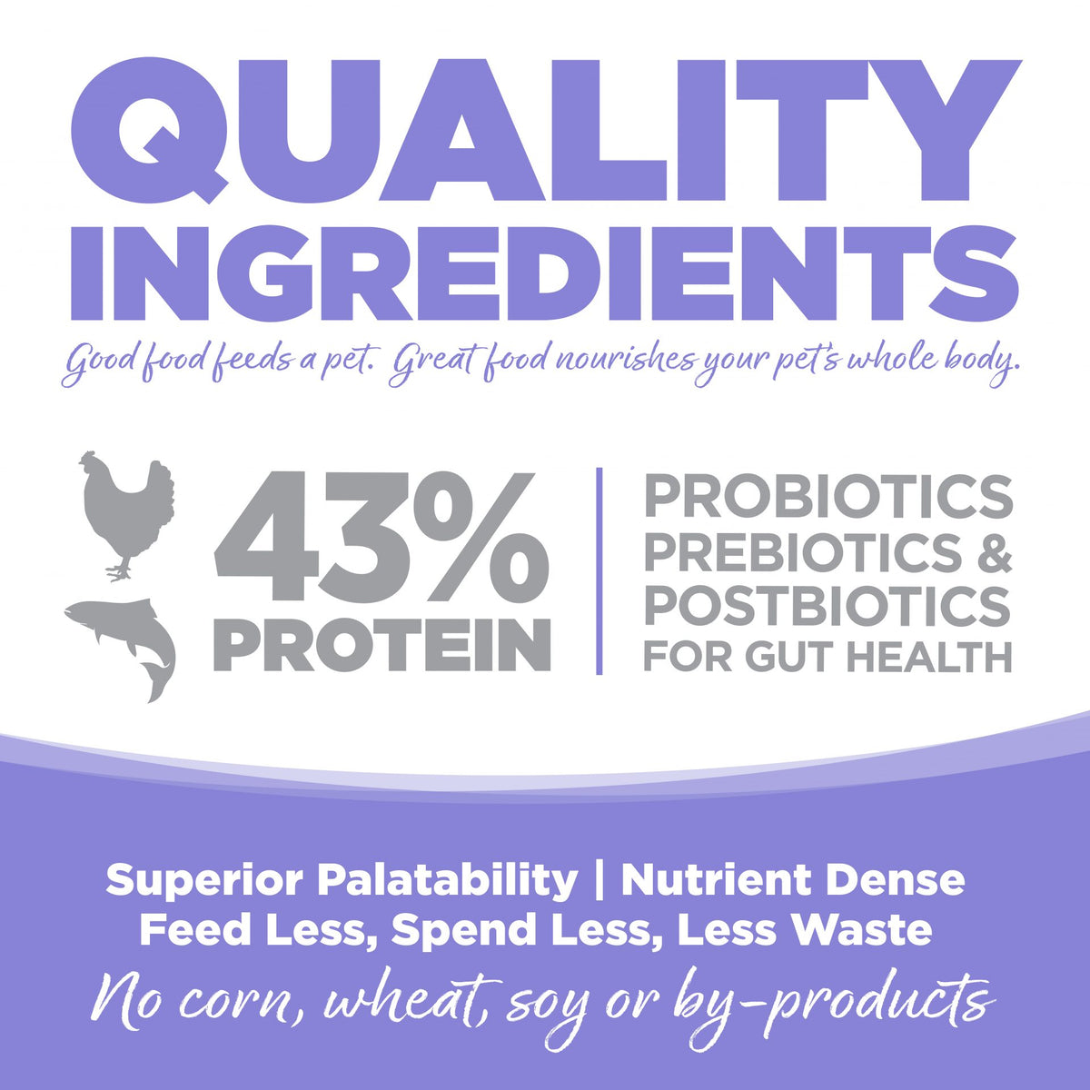 NutriSource Chicken & Salmon Select Grain Free Cat & Kitten Food