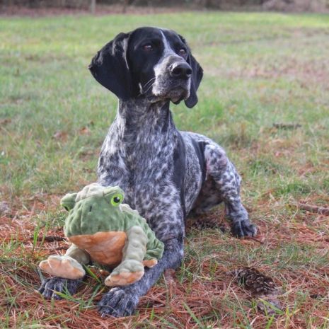Tall Tails Animated Frog Toy for Dogs