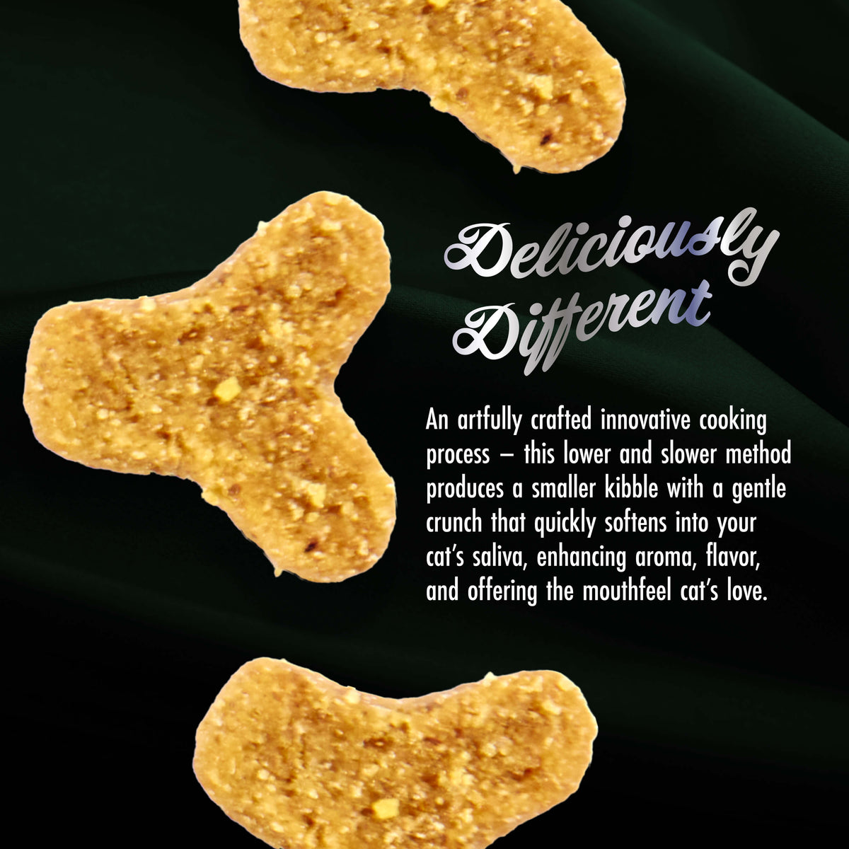 Fromm PurrSnickitty Salmon Splendor Dry Cat Food